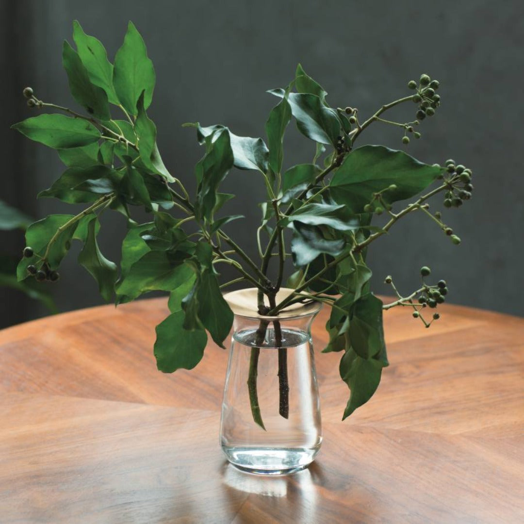 Kinto Luna Vase - L Clear | Shop Online New Zealand | My General Store