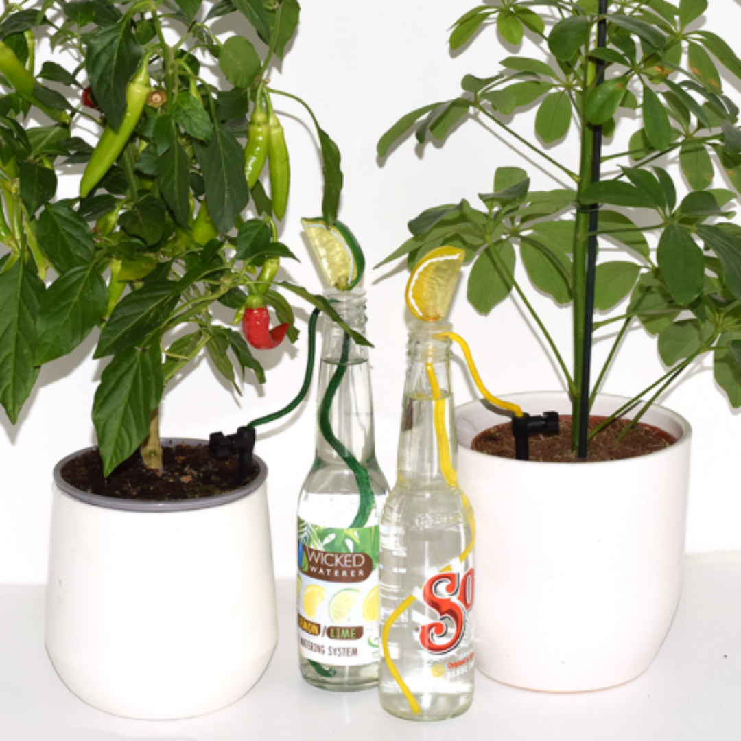 Voodle Wicked Waterer | Shop Online New Zealand | My General Store